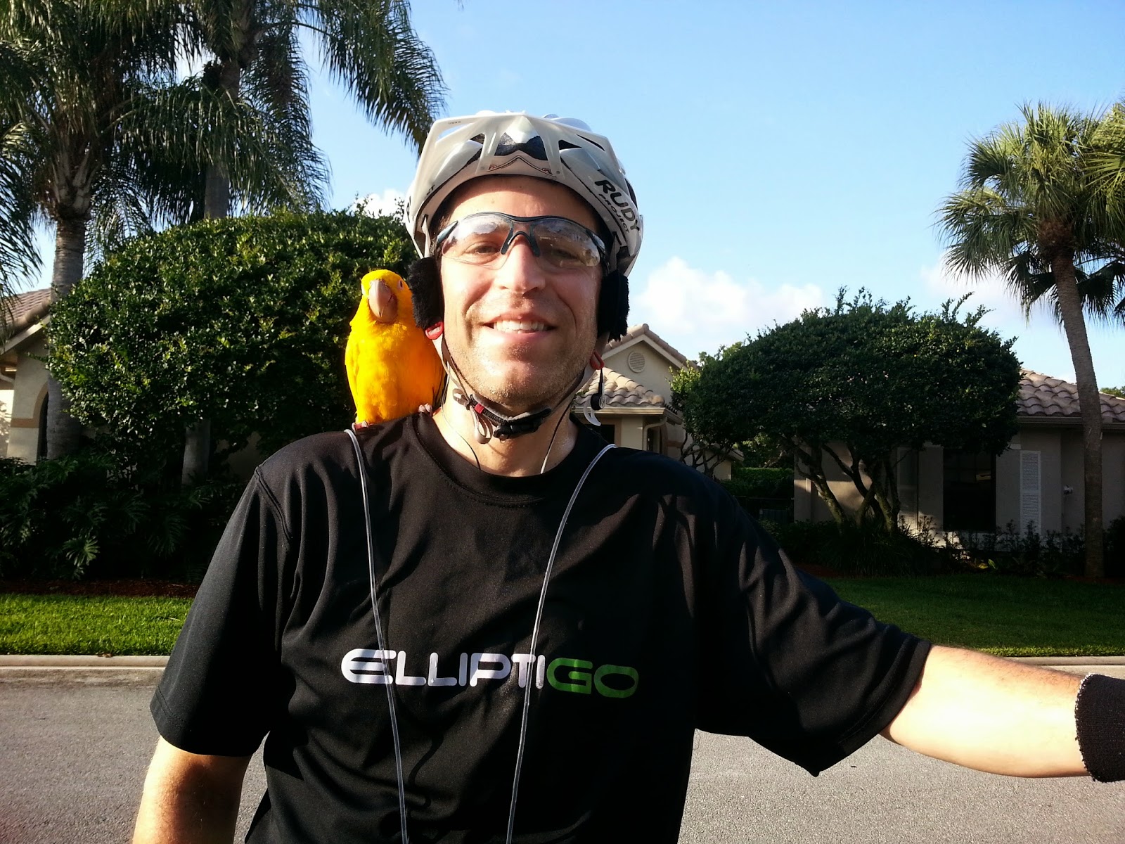 All about stand up riding, exercising and tips!: Day 20 - Everyday In ...