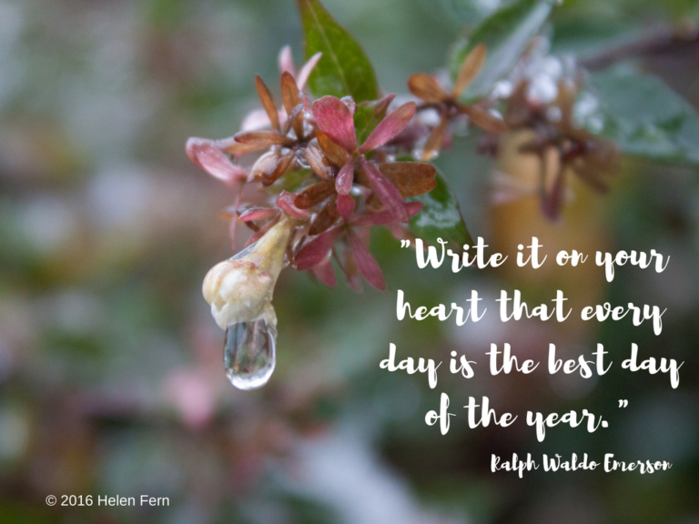 Helen Fern Original Photography: FREE Downloadable Screen Saver for January