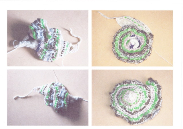 biomathcraft: On the Trail of the Fibonacci Snail