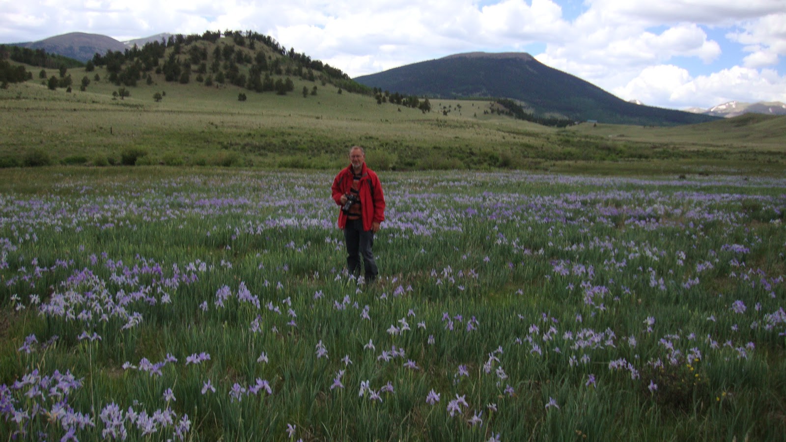 Prairiebreak: Wild iris: just about my favorite thing in the world.