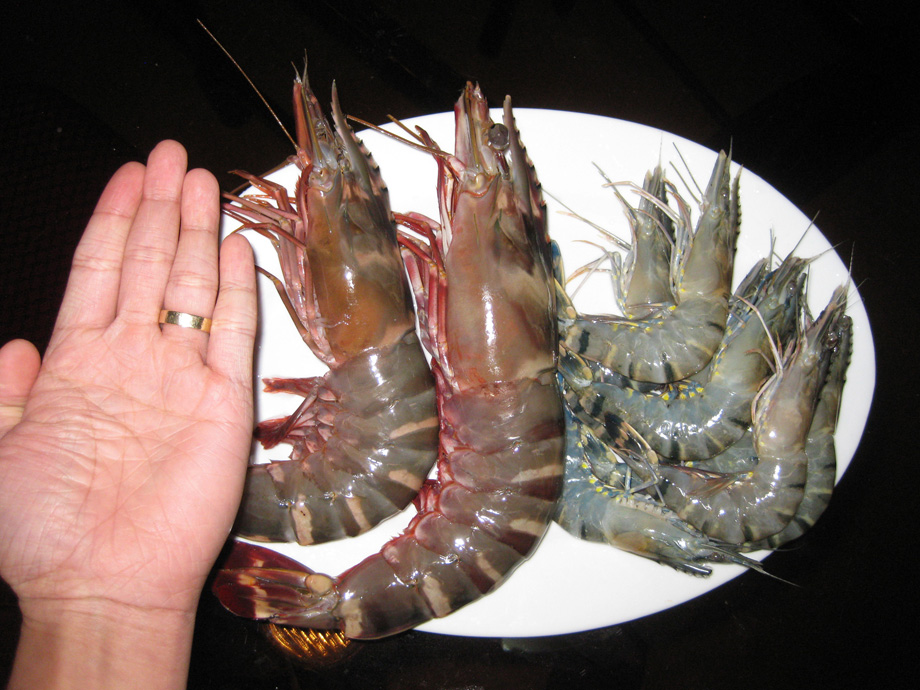 Capiz Best Delicacies: Capiz Best Delicacies (Pasayan or Shrimp)