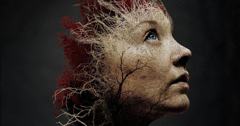 [Critique] LA FORÊT (2016 - VOD) de Jason Zada