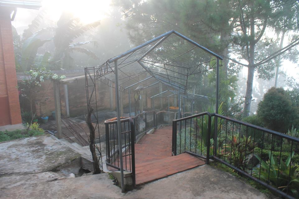 Breathtaking View of Haven's Peak - Maragusan Tour - Madayaw Davao