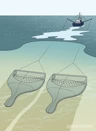 La pesca de arrastre de fondo