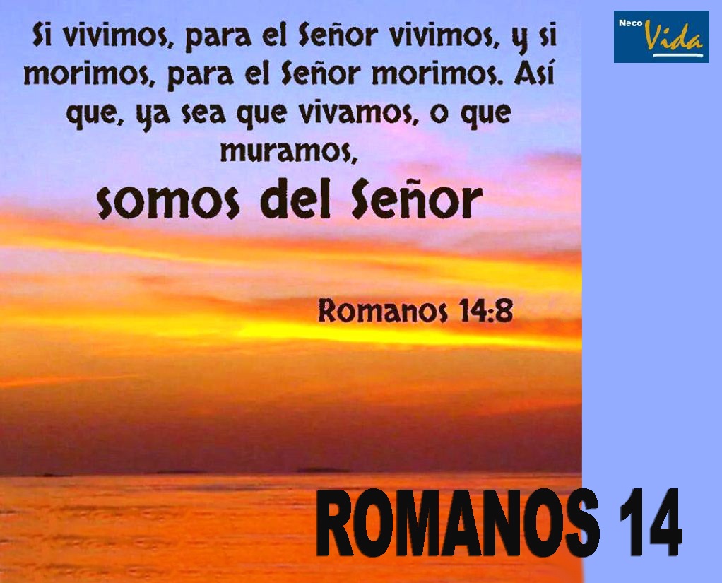 Neco Vida: Leyendo... Romanos capítulo 14