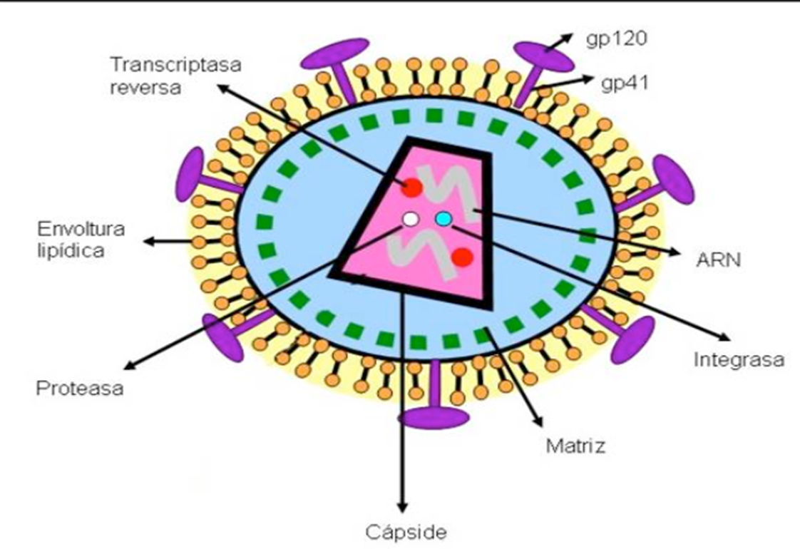 EL VIH-SIDA NO DISCRIMINA: septiembre 2015