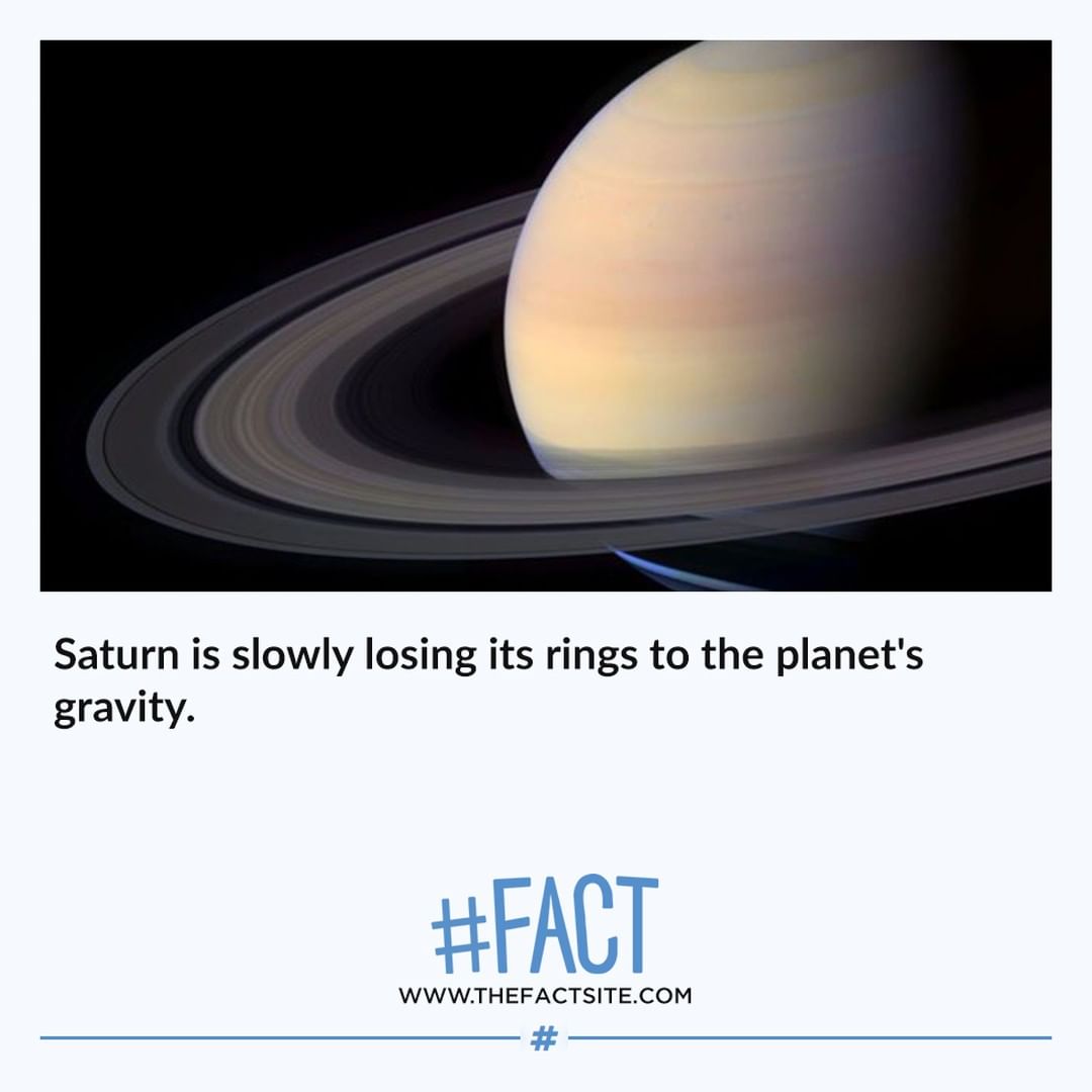 10 RANDOM TRUE FACTS – FUN FACTUAL ACTUAL FACTS 15 | Amazing WTF Facts