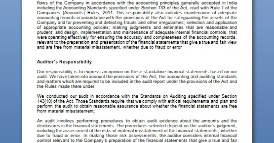 Independent Auditors Report Format in Word Format
