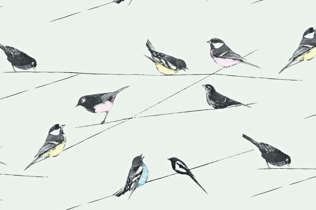 wall candy wallpaper | Free Wallpapers