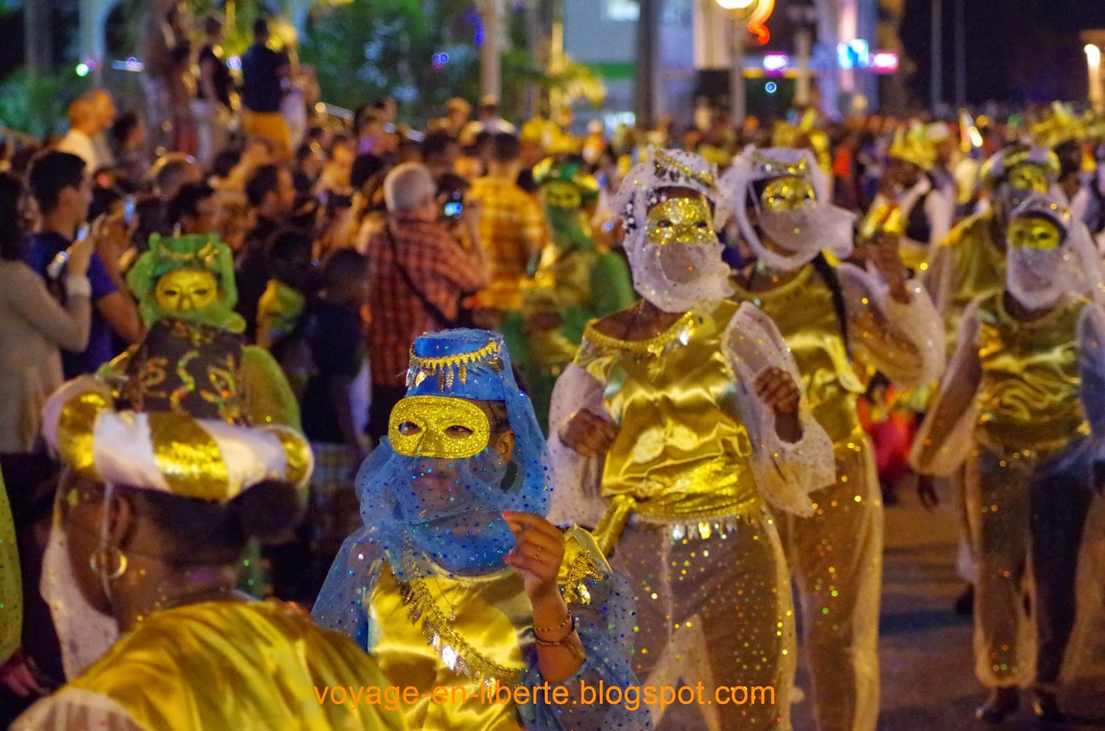 les tribulations de 3 illacais en Guyane: Le carnaval 2014