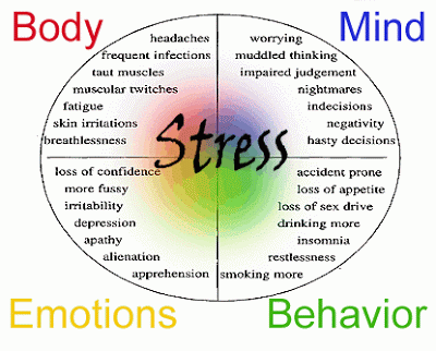Power Team Coaching: Stress!!! Good or Bad?