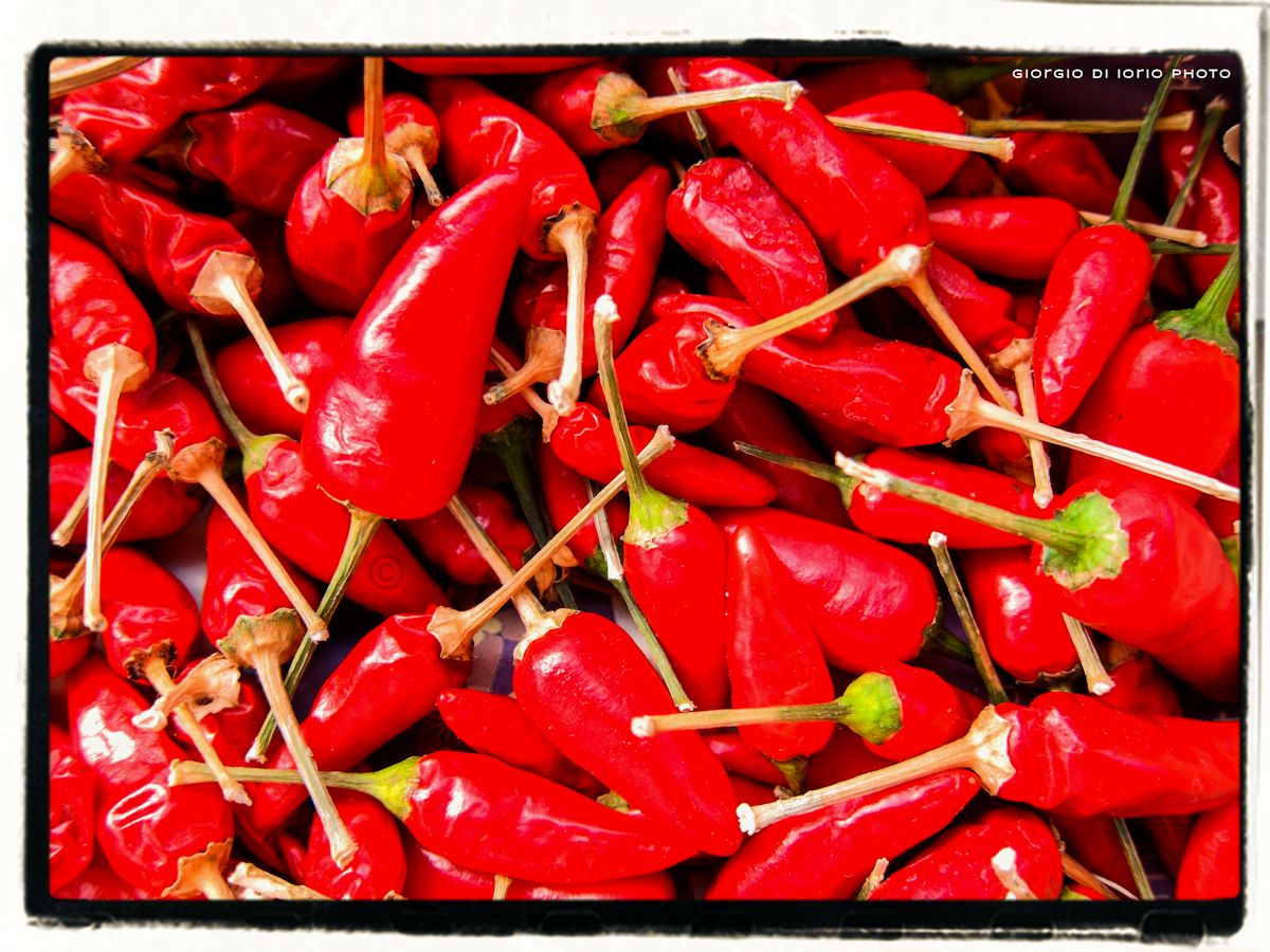 Giorgio Di Iorio Photo Ischia: Red Hot Chili Peppers