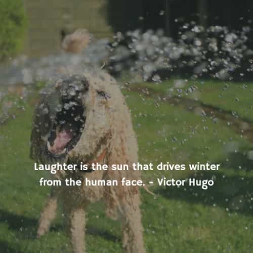 61 Funny quotes and sayings about life by famous people