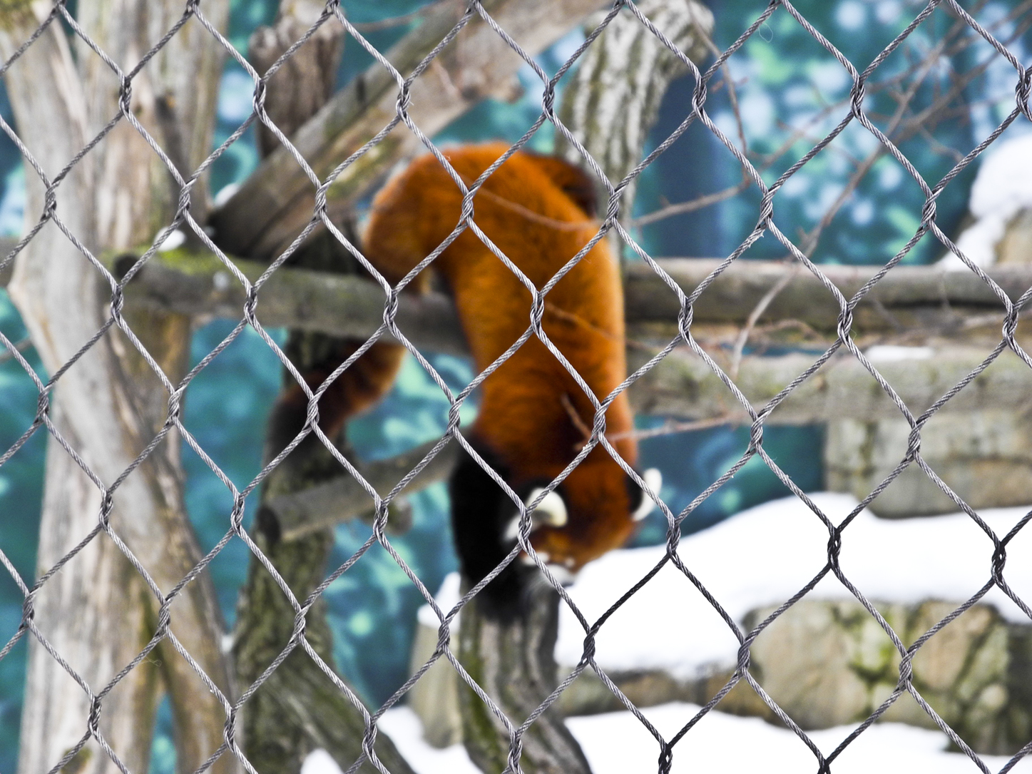 Wisconsin Explorer: Henry Vilas Zoo - Madison