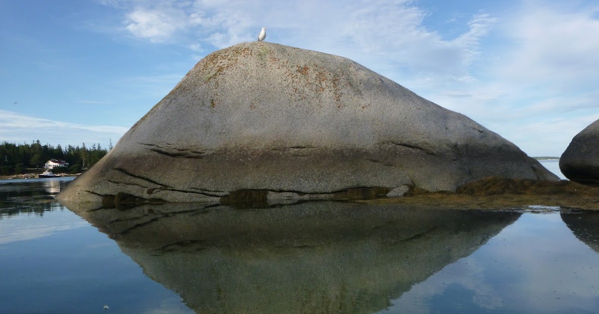 Sea Kayak Stonington: Whitmore Neck