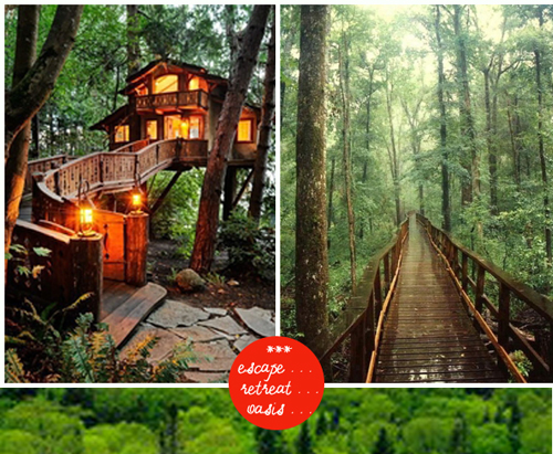 September and Sun: Forest Inspiration