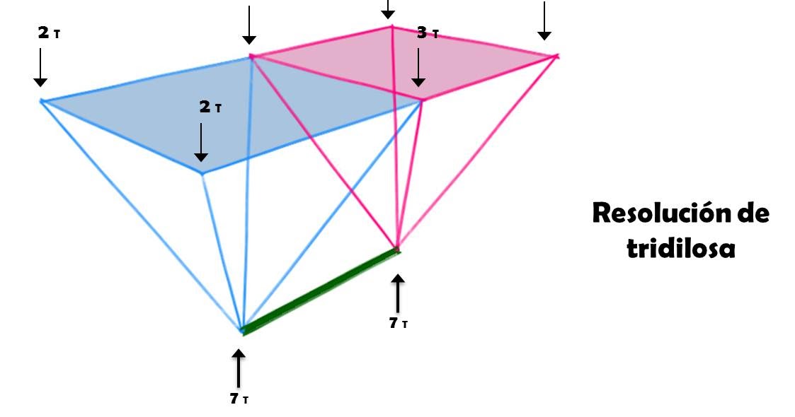 ESTRUCTURAS 6 UNAM 2013-2 CAFE: RESOLUCIÓN DE UNA TRIDILOSA