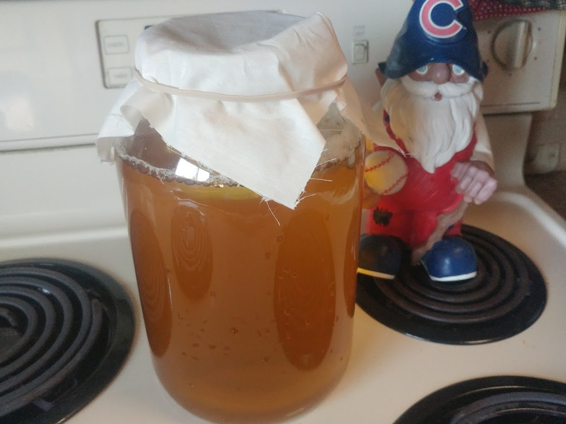 Sheppy's Blog: Shipping SCOBY