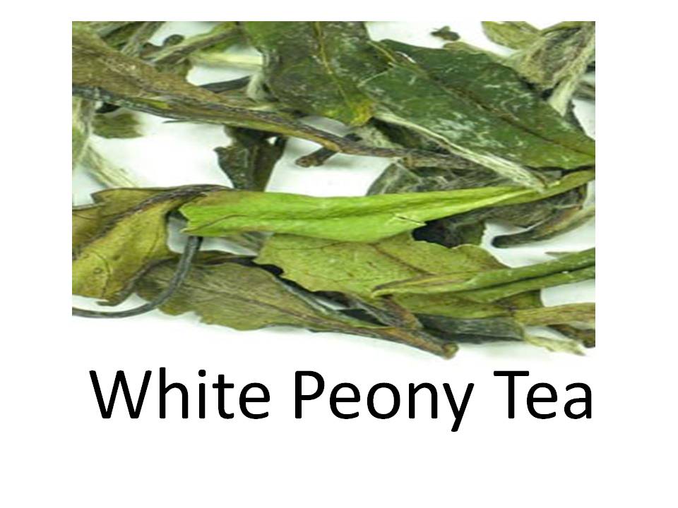 TEH PUTIH | WHITE TEA INDONESIA