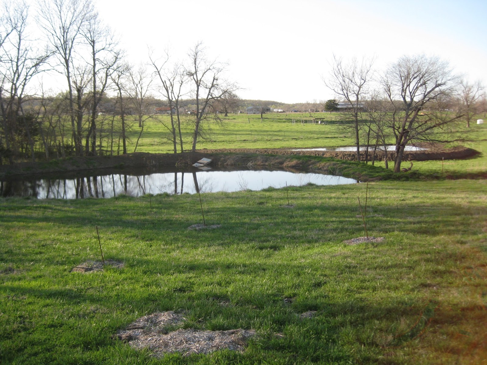 Clear Creek Permaculture: Spring Time and full ponds!