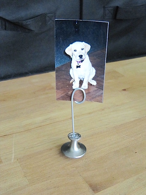 Sew Many Ways...: Tool Time Tuesday...Place Card Holders from Knobs