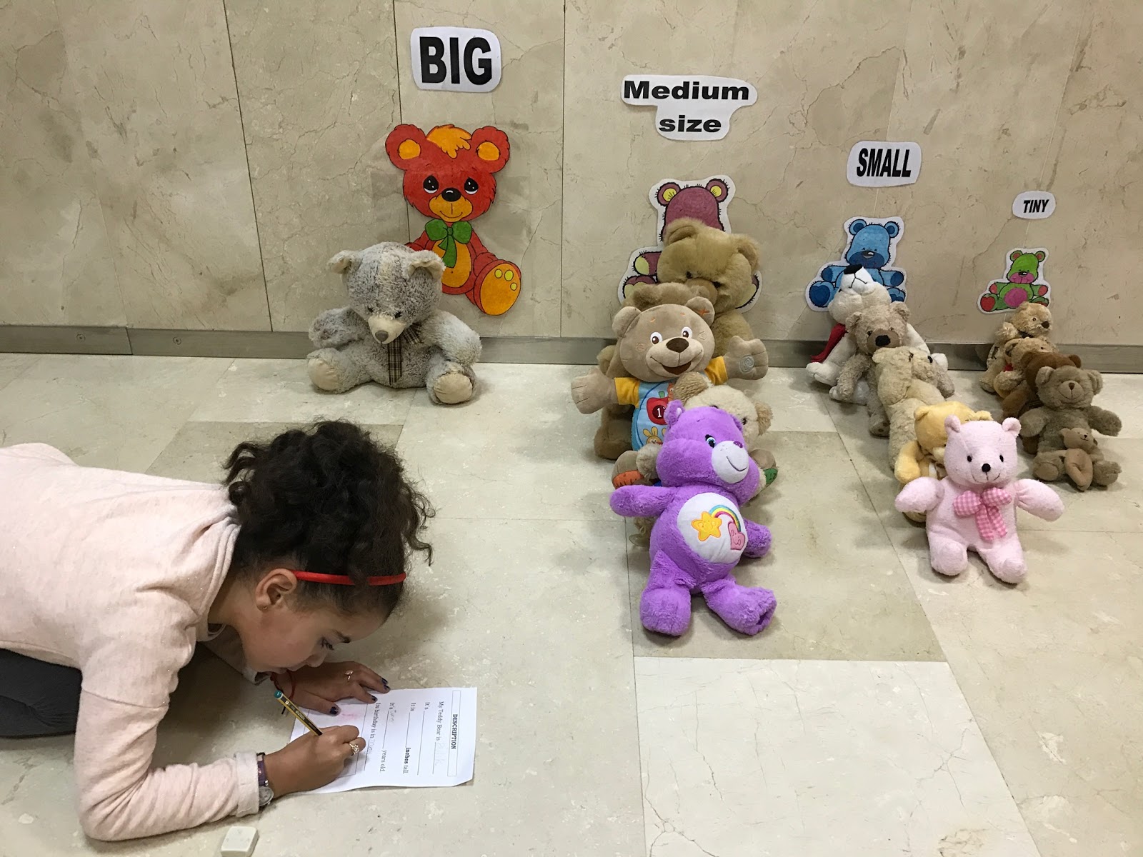 Classifying our teddies by Size