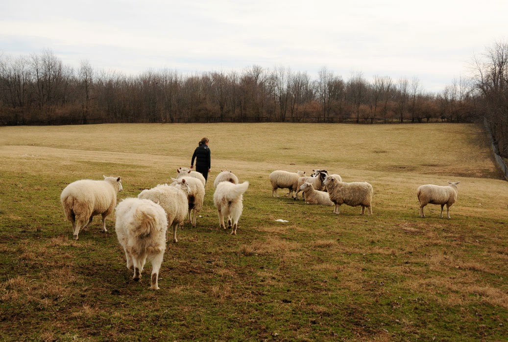 Punkin's Patch: The God Of Simple Shepherds