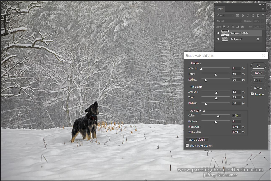 Getting it Right in the Digital Camera : Seeing the Snow with Lightroom ...