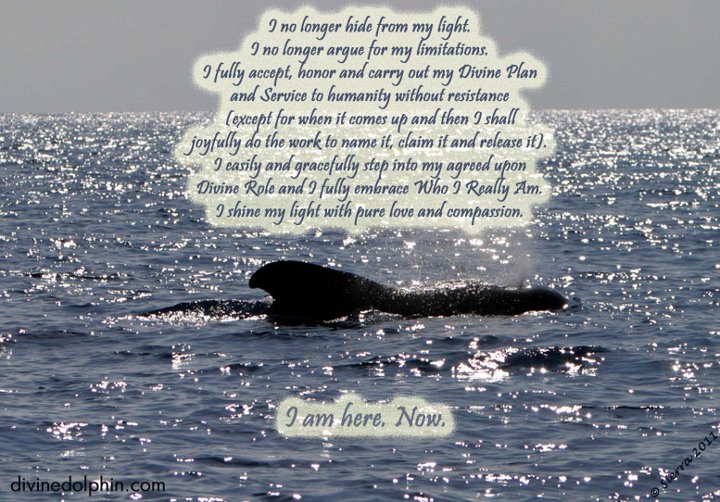 Ascending Butterfly: Today's Words of Inspiration - I am here. Now.