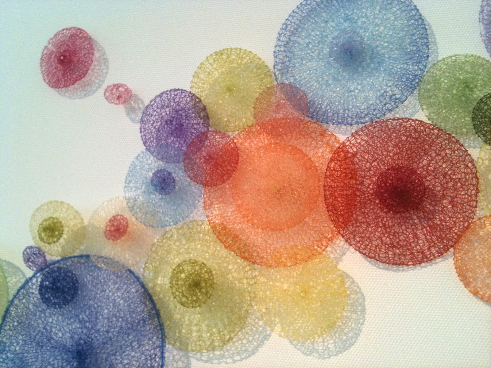 simply wonderful discoveries: Nora Fok