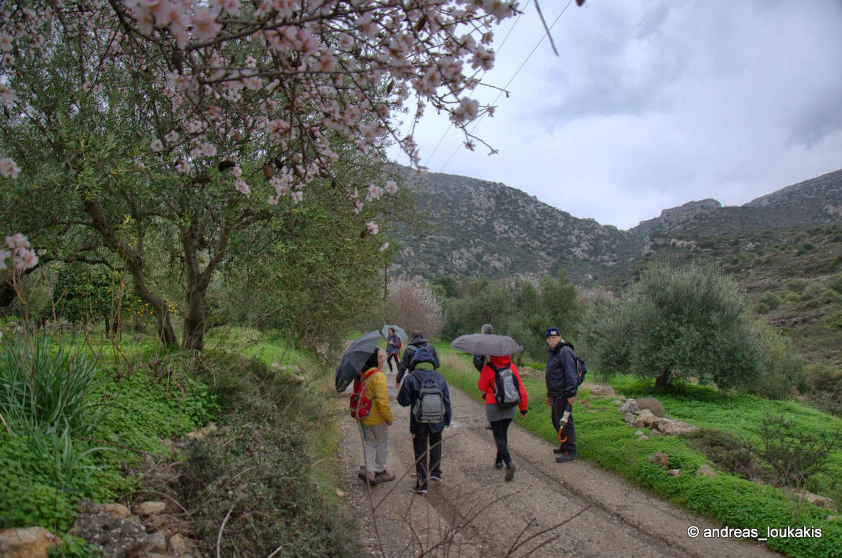 EXPLORE MOUNTAINS: ΠΕΖΟΠΟΡΙΑ ΜΕΣΕΛΕΡΟΙ - ΜΟΝΗ ΒΡΥΩΜΕΝΟΥ
