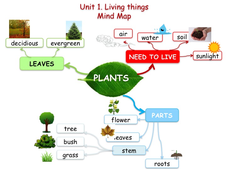 NATURAL SCIENCE 2: UNIT 1 SO MANY LIVING THINGS