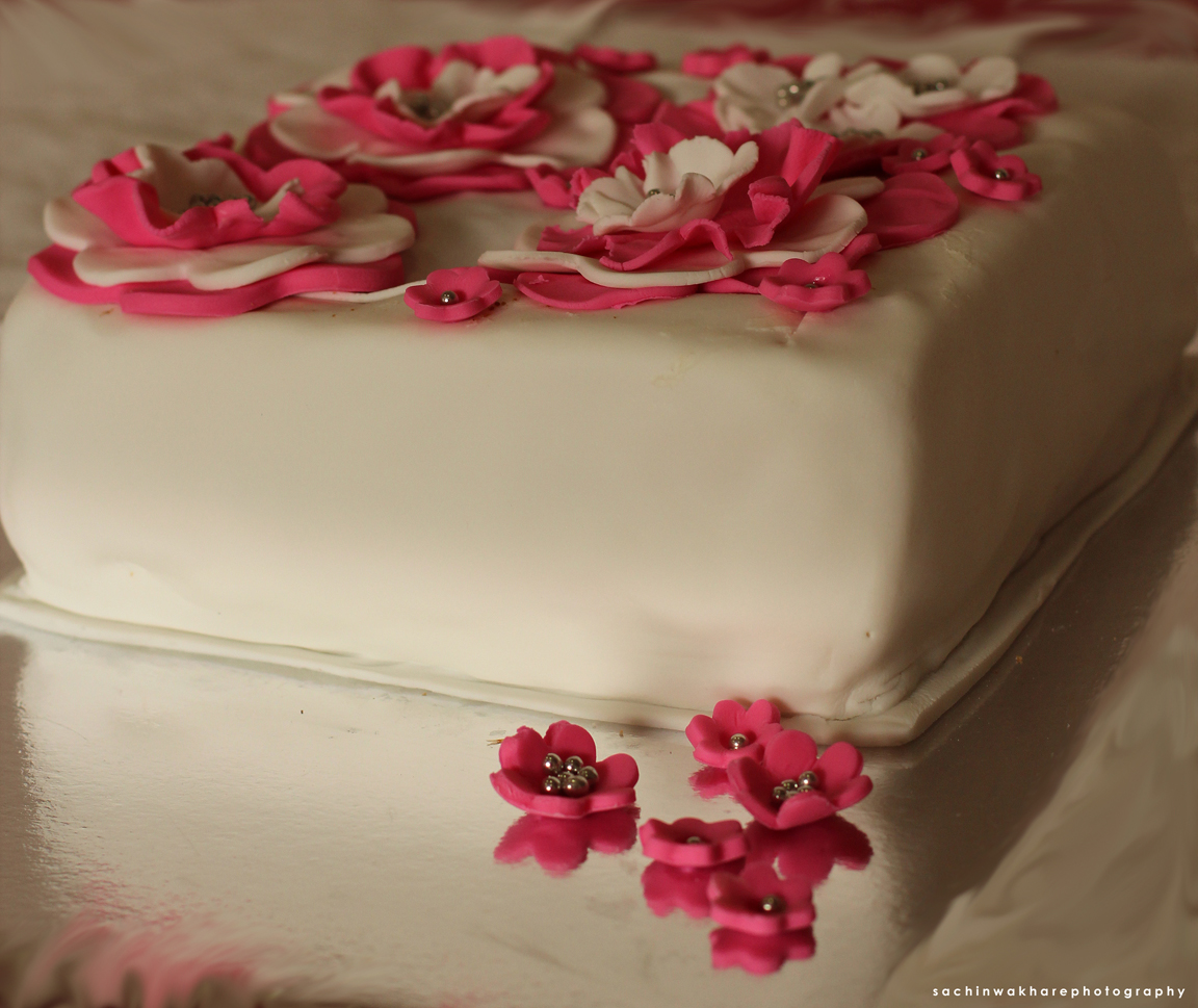 Shayoka's Splendid Surprises: Princess Cake