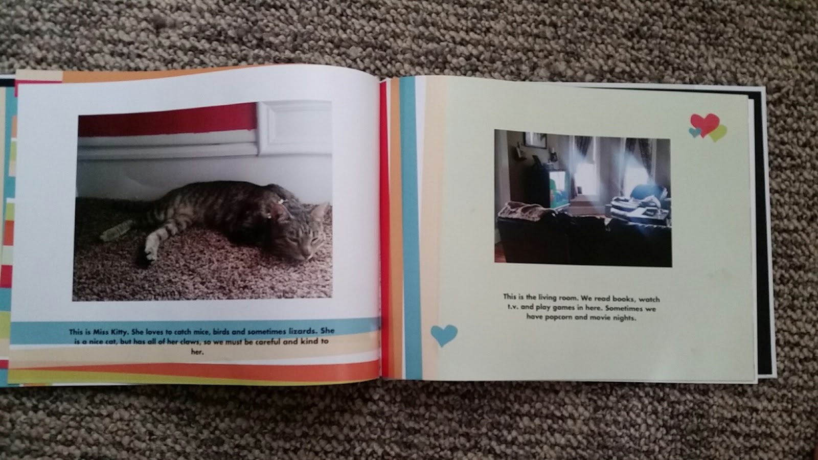 The Farrell Flock: Foster Care to Adoption: The Welcome Book