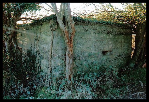 Past Remains in South-West Britain: Axe Valley WW2 Defences - Taunton ...