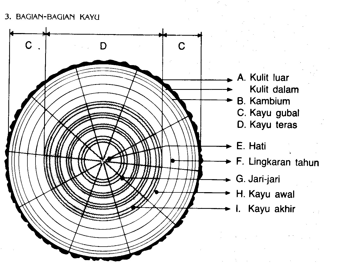 SIPIL itu MEREKAYASA
