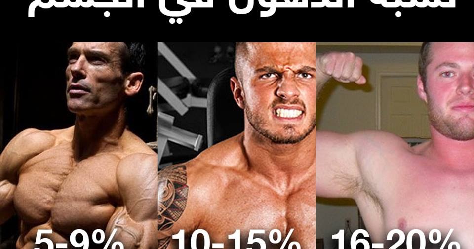 Syrian Bodybuilding Group نسبة الدهون في الجسم