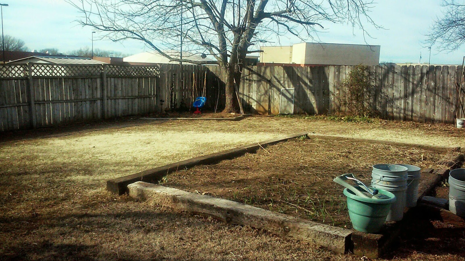 Our Quarter-Acre Homestead: February Homestead Update- Eggs, Garden ...