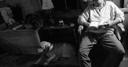 Mr. Lundberg - 6th Grade Science and Innovation: Meet Mr. Lundberg