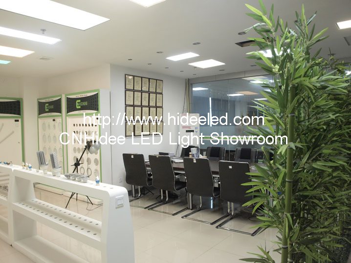 CNHidee LED lighting: CNHidee LED light showroom