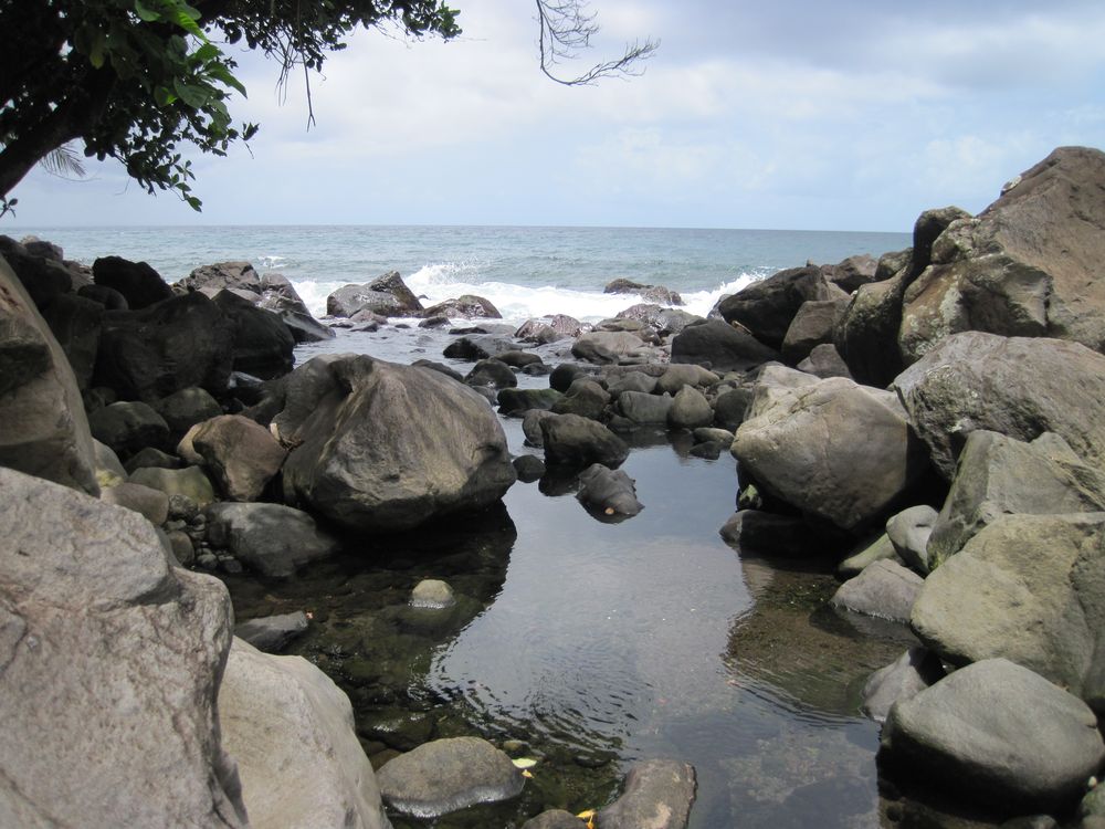 Guadeloupe: Anse Duquèry ( sentier de la grande Pointe )