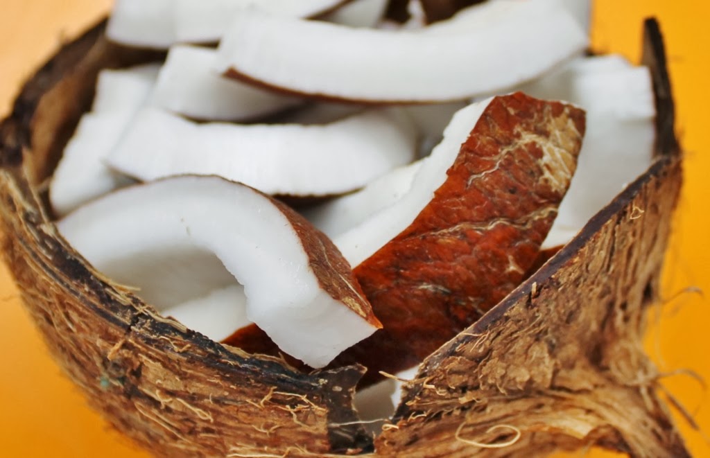 Coco - Super Alimento - Samatva Yoga