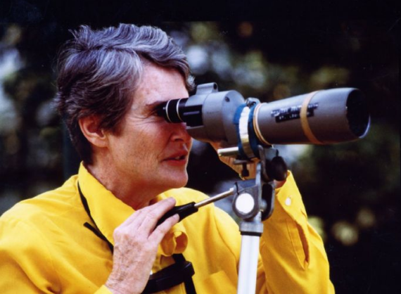 Phoebe Snetsinger - Pengamat Burung yang Telah Mencatat 8.398 Spesies ...