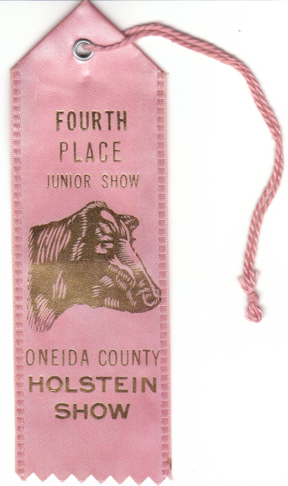 View from the Birdhouse: May 1, 2012