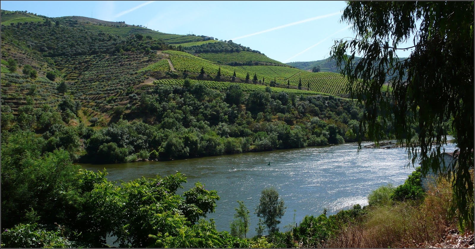 Alcino Sousa: Douro - Entre margens | Foz-Tua, 2016