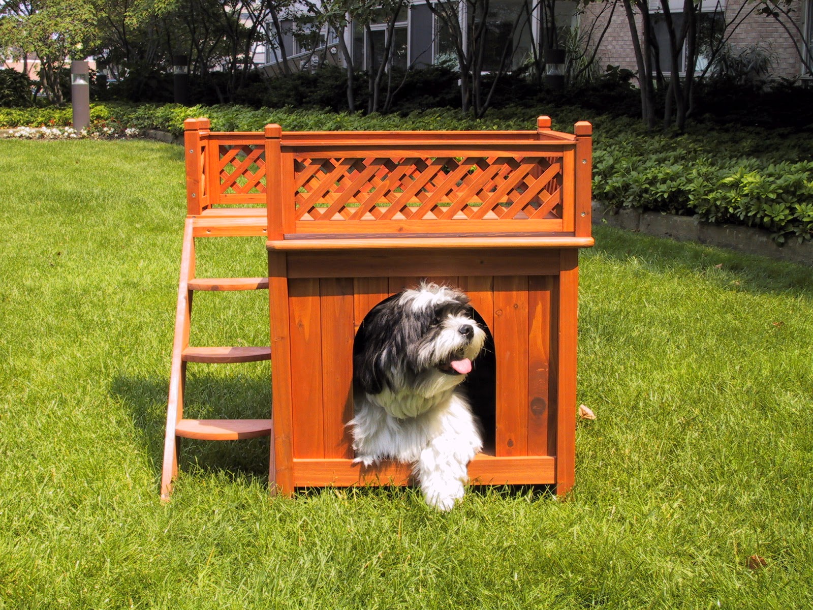 BlueRidgePetCenter: Wood Pet Homes by Merry Products
