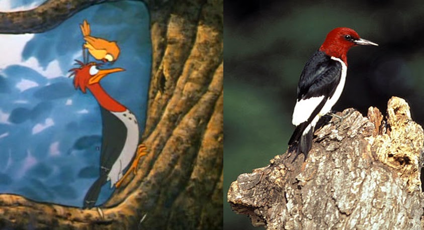 Art of Emily Willoughby: Top 10 Fictional Birds Based on Real Birds