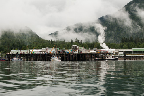 Engelenbak Adventures: Bait Fishing in Excursion Inlet’s Sawmill Bay ...