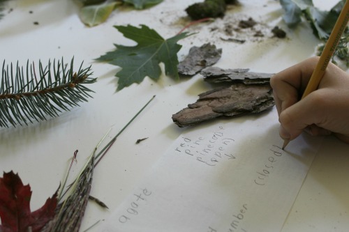 The Unlikely Homeschool: Nature Pen-Pal Exchange