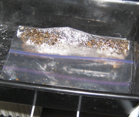 Lykkelige planter: januar 2014